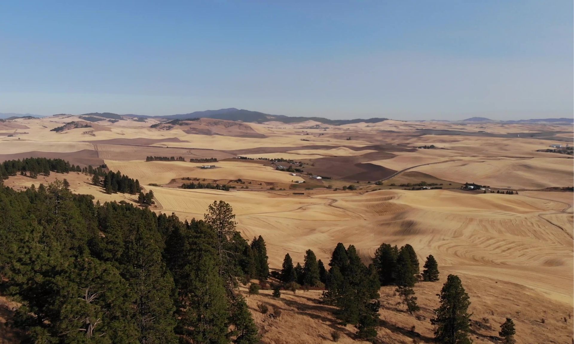 Reflections on Honoring Original Indigenous Inhabitants through Land ...