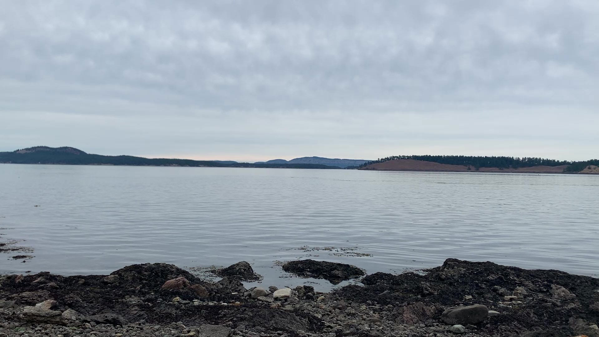 Virtual Visit to Posey Island State Park - Washington CEEDAR